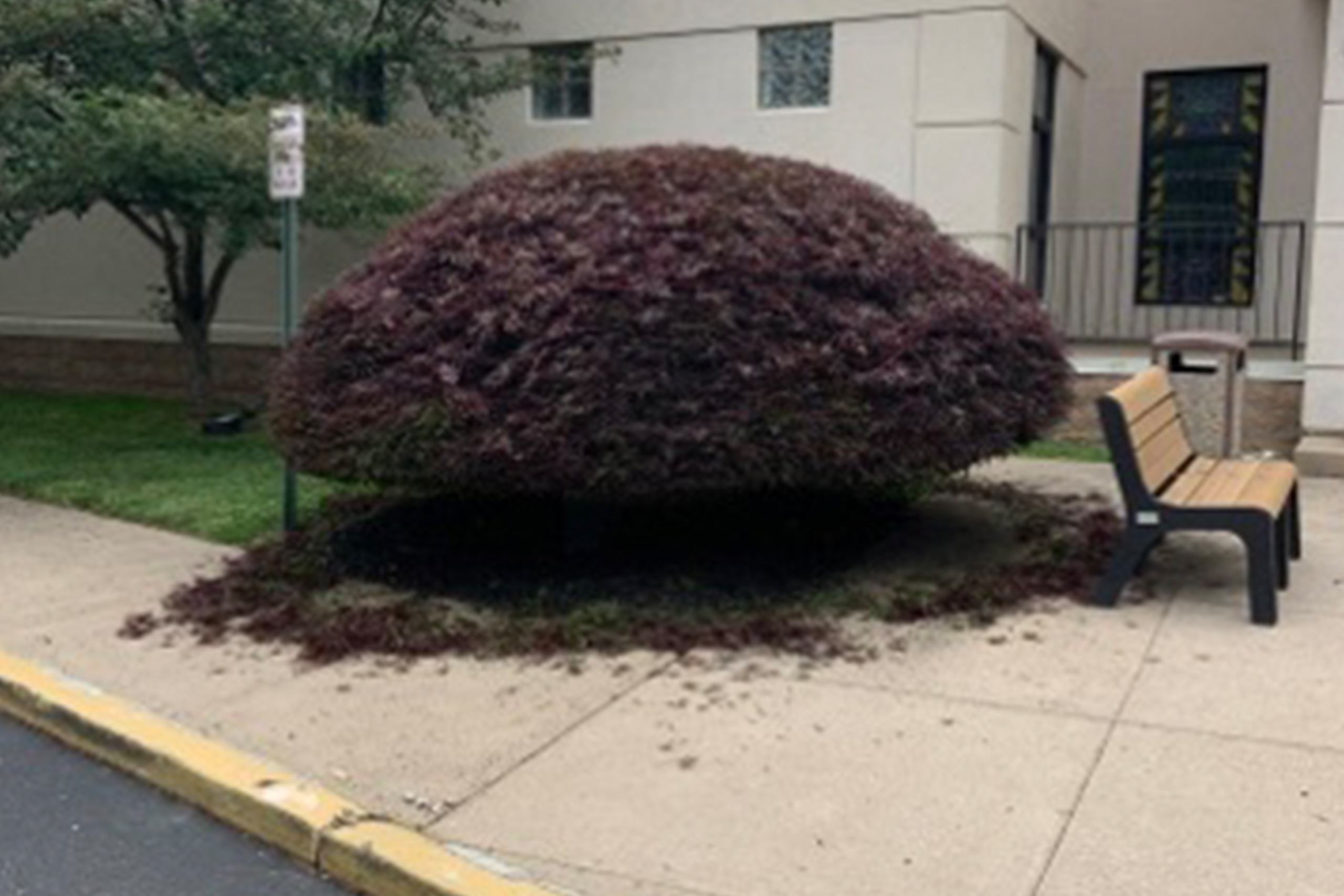 Bethlehem Baptist : Lower Gwynedd Township - Landscaping - Mid-Atlantic ...